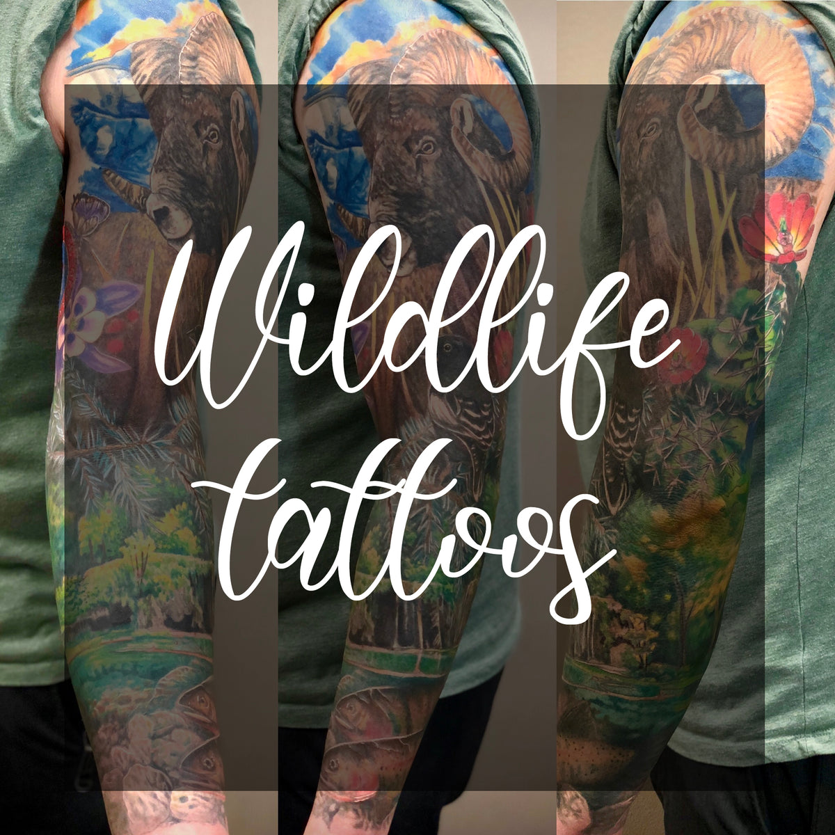 I LOVE WILDLIFE STUFF! – RaeGunn-Arts